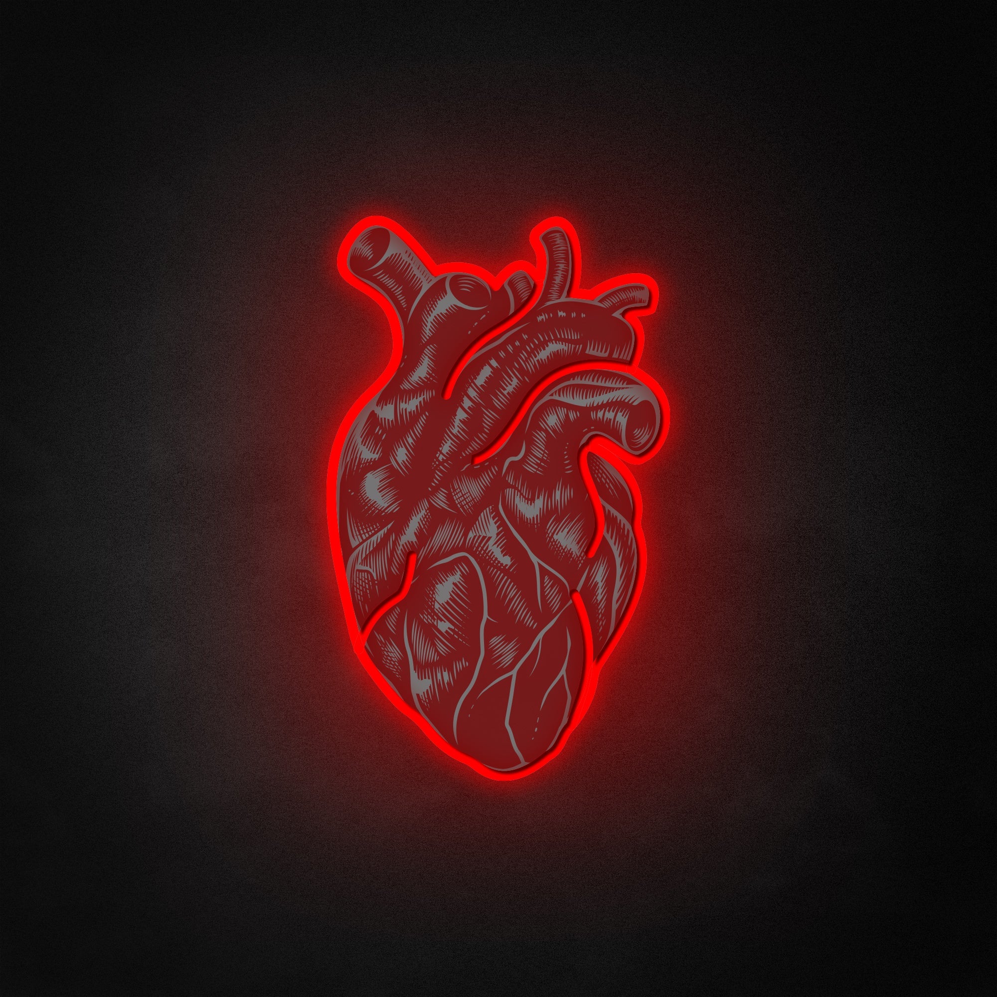 Anatomical Heart Neon Like Sign, Heart Neon Sign, Heart LED Light ...